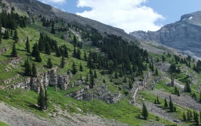 11 Best Hikes in Banff National Park: Top Trails You Can't Miss (2025)