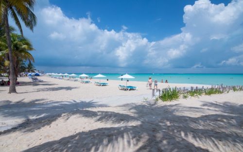 7 Best Spots to Go Snorkeling in Isla Mujeres (2024 Guide)