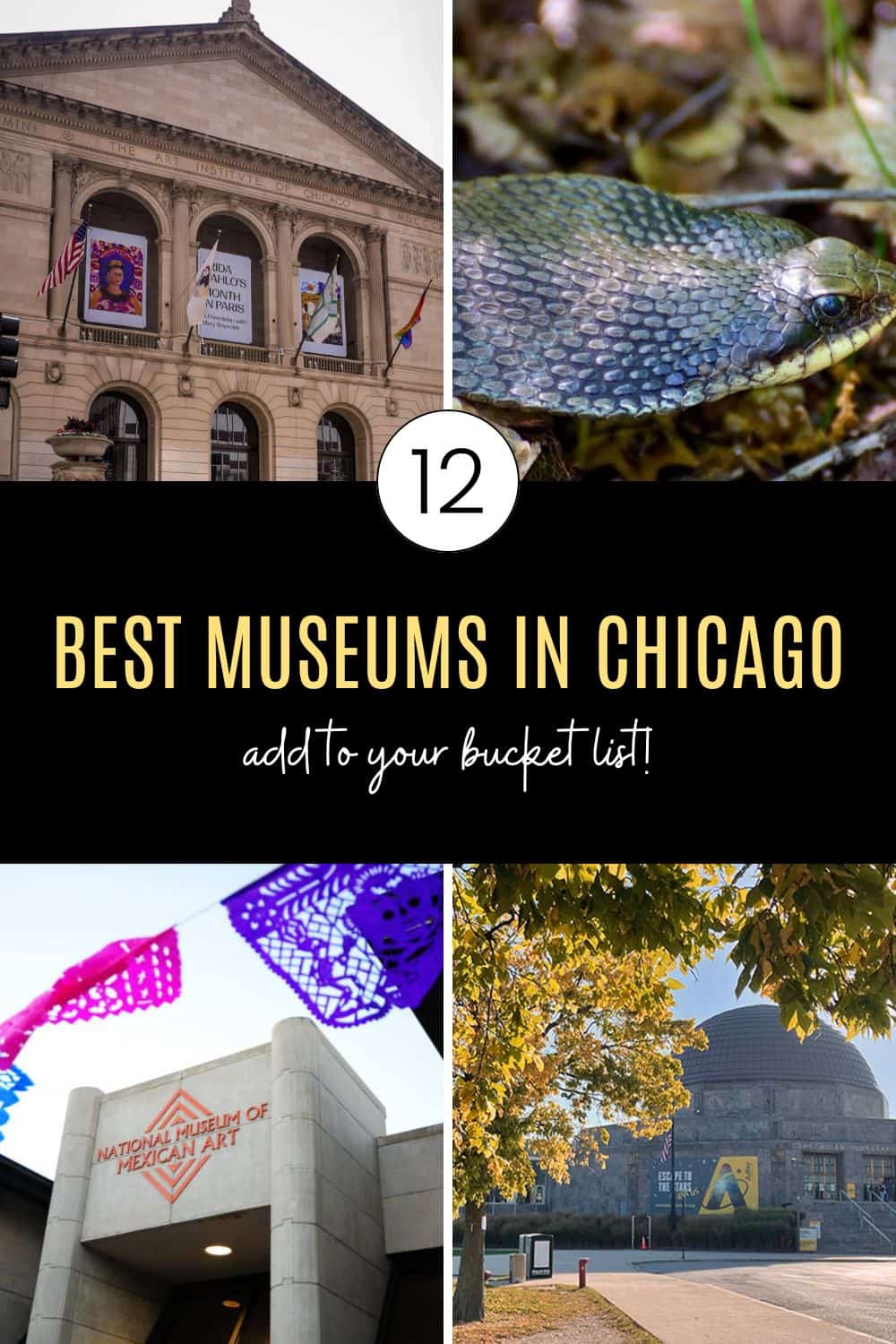 12 Best Museums to Visit in Chicago (2026)